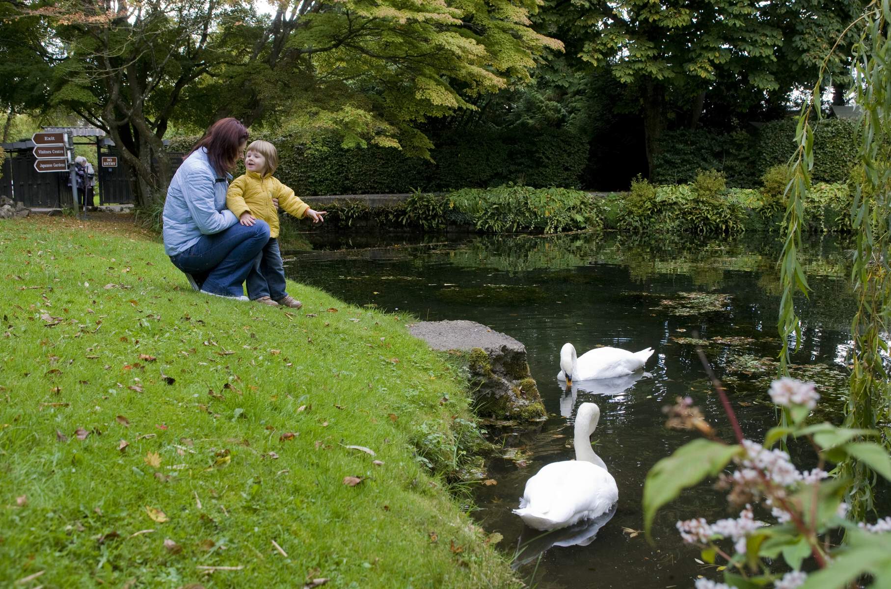 Best Outdoor Places in Kildare for Families