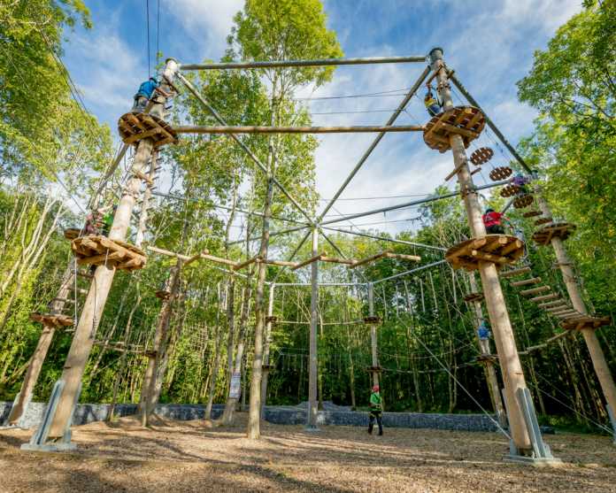 10 Surprising and Thrilling Activities at Castlecomer Discovery Park