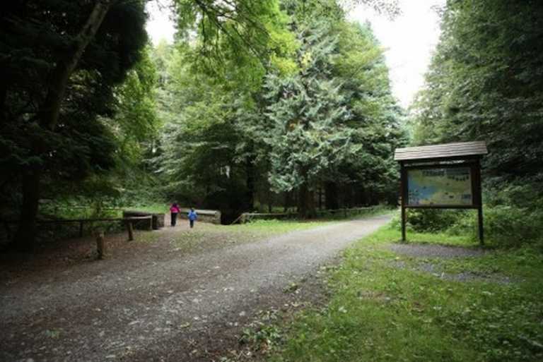 Free Things To Do in Longford with Kids