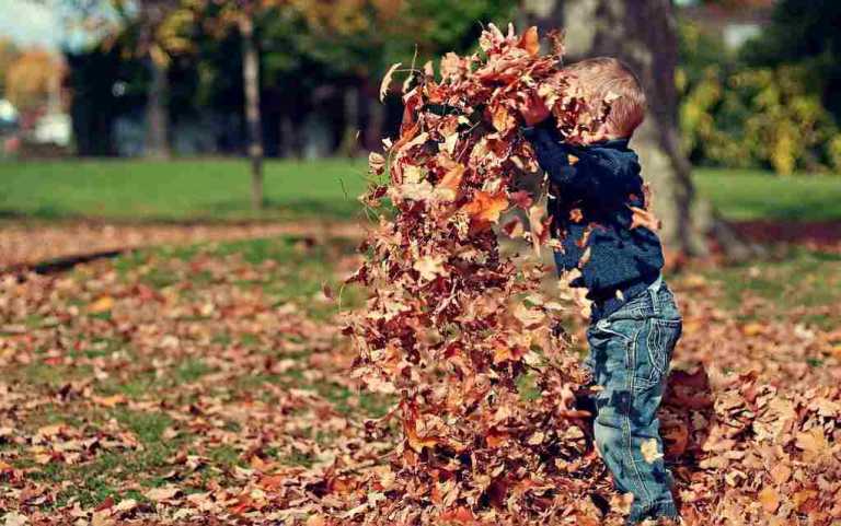 50 Awesome Autumn Activities for Kids (and Parents!)
