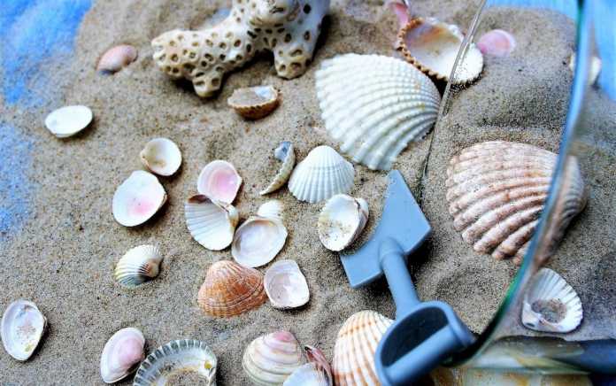 7 Simple Sensory Box Ideas