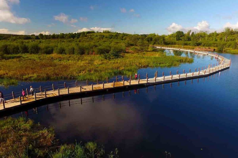 Go Exploring with the Best Family Walks in Ireland by County