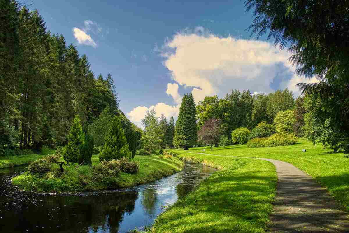 7 Places for Great Family Walks in Roscommon