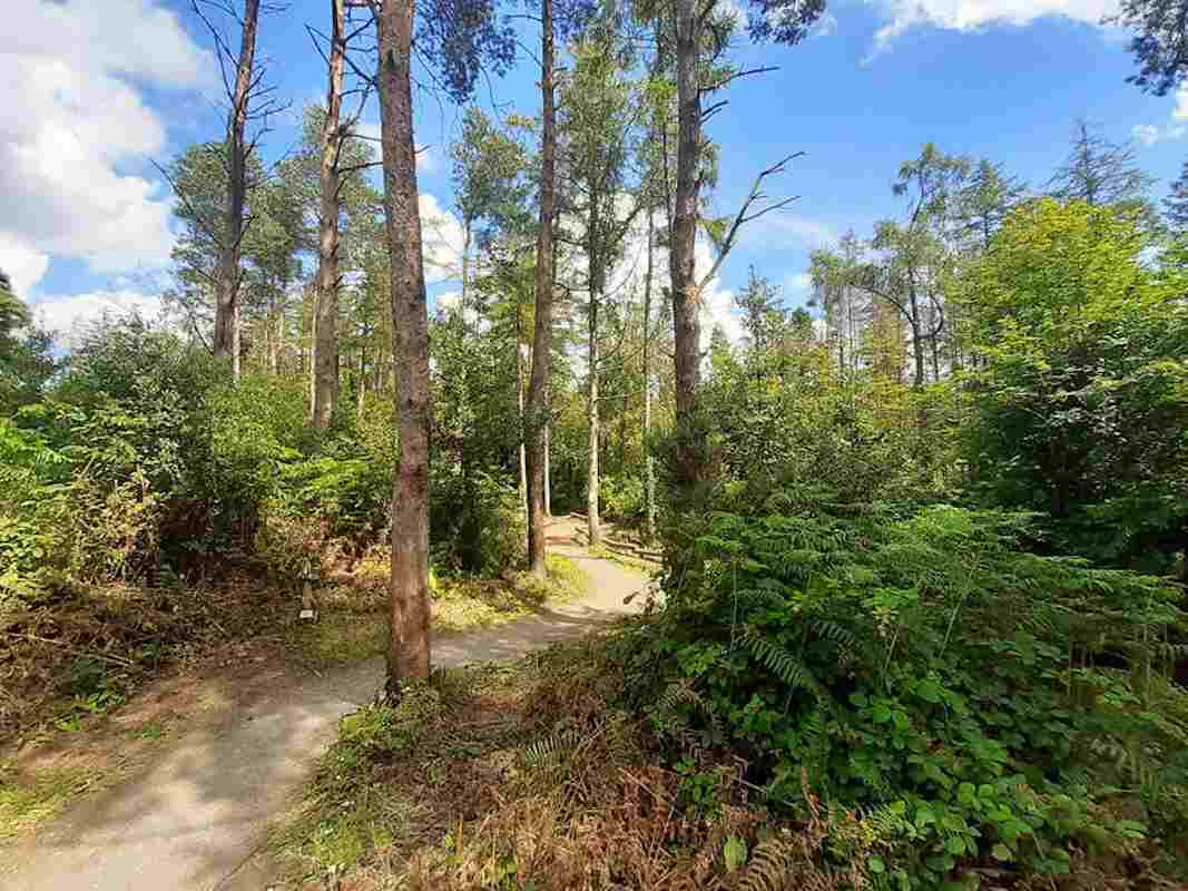 Enjoy the Scenery with these Family Nature Walks in Clare