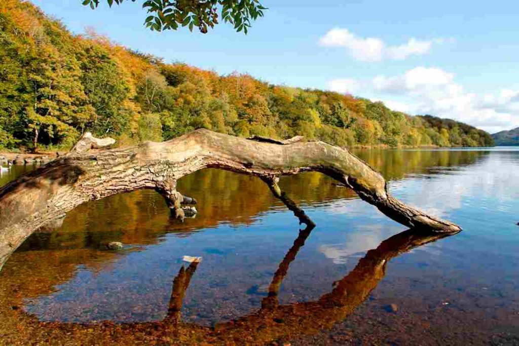 9 Stunningly Scenic Places for Family Walks in Sligo