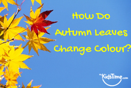 How do Autumn Leaves Change Colour?