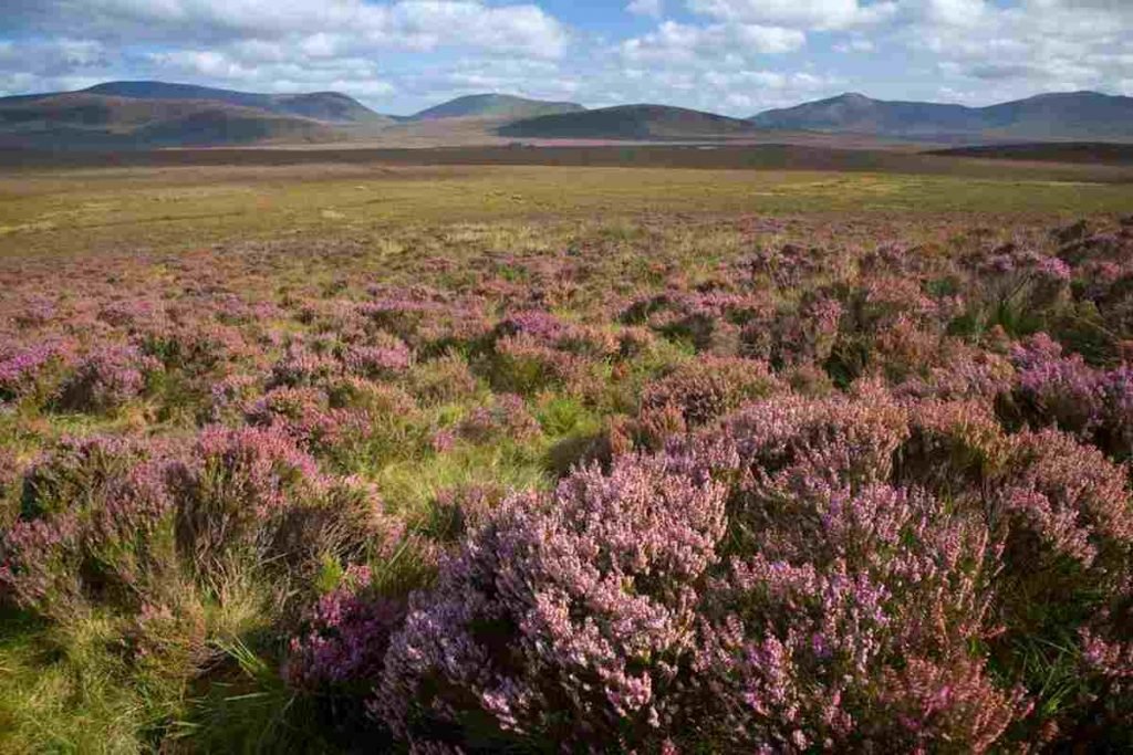 9 Great Places for Stunning Family Walks in Mayo