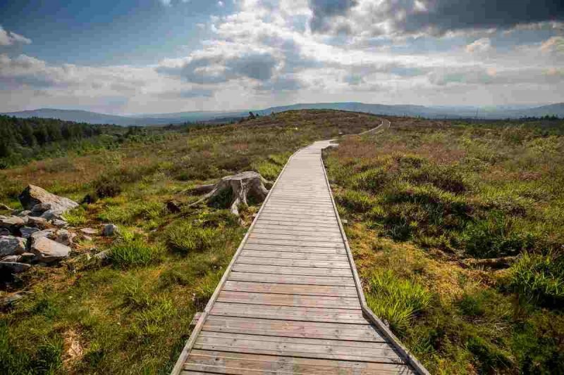 7 Stunning Places for Family Walks in Cavan