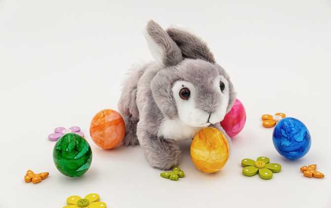 Easter Egg Hunt Ideas To Make You the Coolest Bunny on the Block