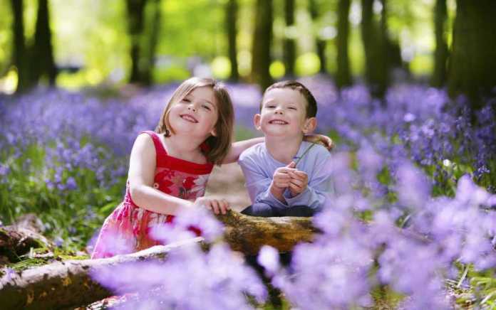 50 Super-Fun Spring Activities for Kids