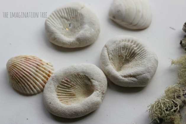 8 Stunning Shell Crafts for Kids to Make and Keep