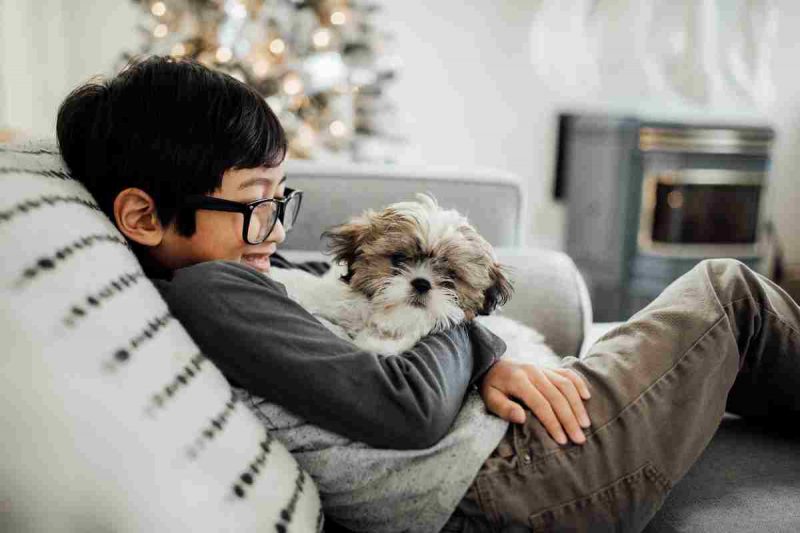 6 Of The Best Benefits Of Having A Dog For Kids.