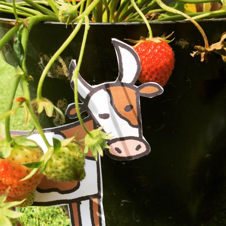 Get Creative with This Cute Farm Craft Idea for Kids