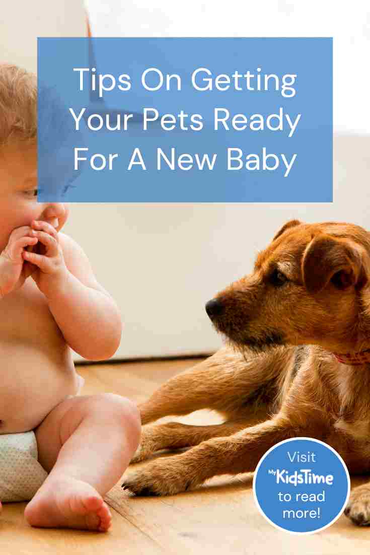 Tips On Getting Your Pets Ready for a New Baby in the House
