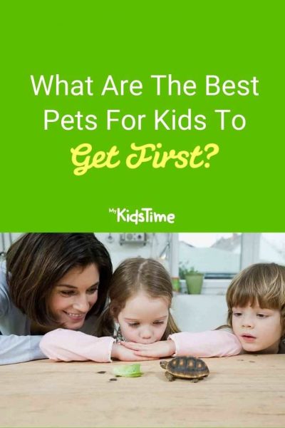 What Are The Best Pets for Kids to Get First?