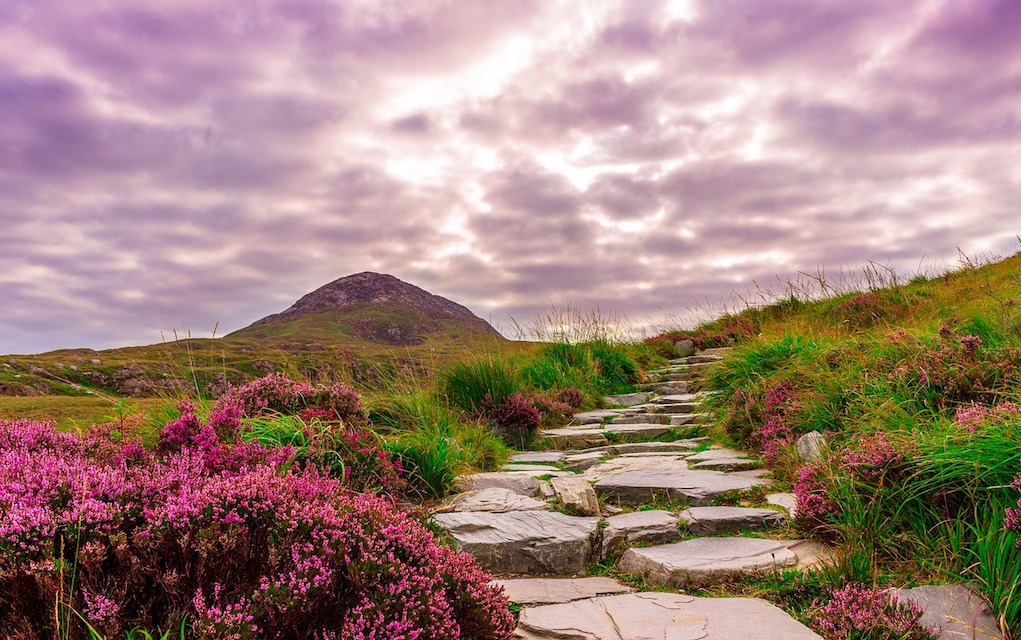 Low Cost Things To Do In Ireland With Kids Recommended By Parents Low Cost Things To Do In Ireland With Kids Recommended By Parents
