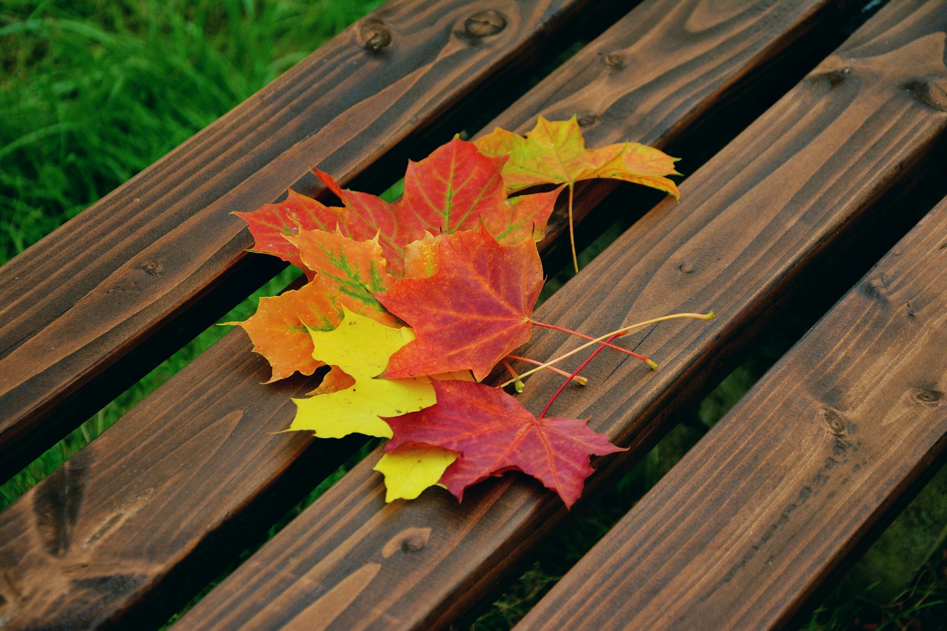 15 Easy And Eye Catching Leaf Craft Ideas For Kids 15 Easy And Eye Catching Leaf Craft Ideas For Kids