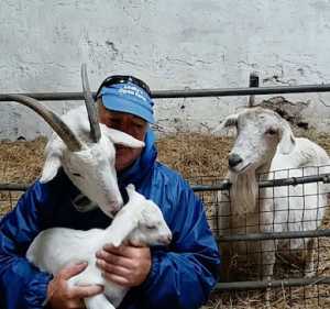 The Best Farm Experiences in Ireland for Kids