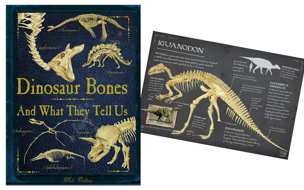 Be A Bookasaurus! 20 Top Dinosaur Books for Your Dino-Mad Kid