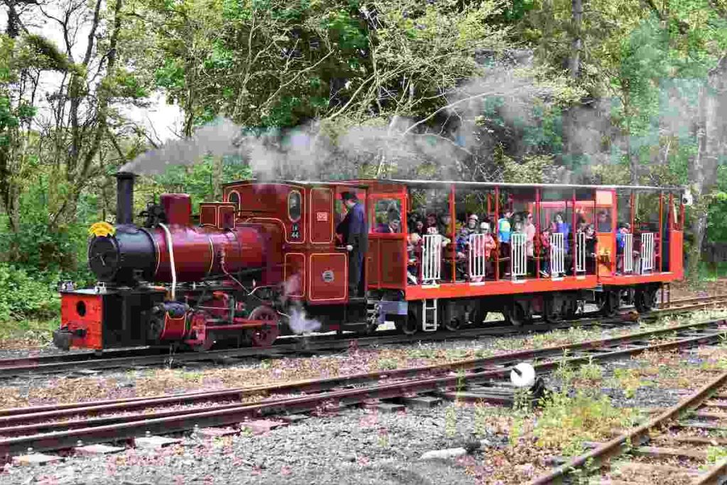 All Aboard! Steam Trains and Fun Train Rides in Ireland