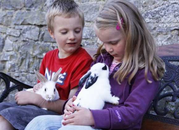 Nore Valley Park a Family Destination with a Difference