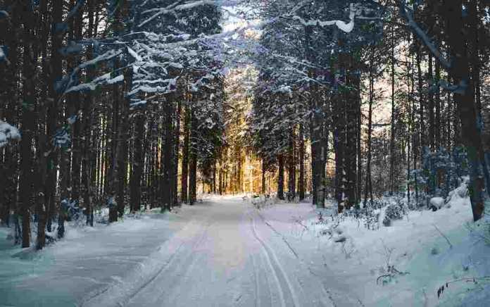 It's a Snow Day! 15 Great Ideas for Memorable Snow Fun