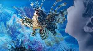 Best Places to See Animals in Ireland for a 'Roarsome' Day Out