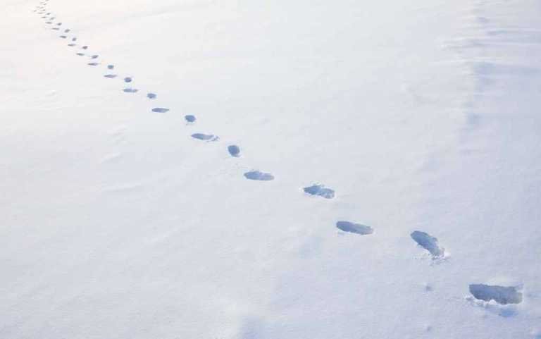 It's a Snow Day! 15 Great Ideas for Memorable Snow Fun