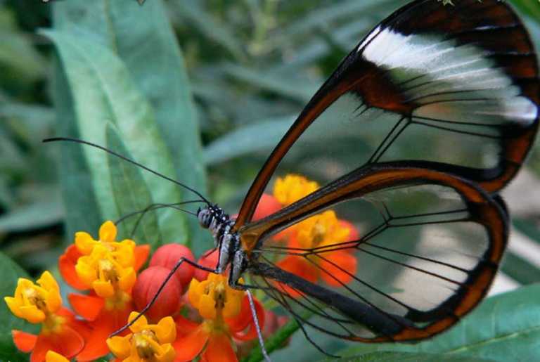 Best Places to See Animals in Ireland for a 'Roarsome' Day Out