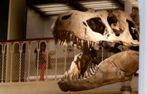 20 Outstanding Places to See Dinosaurs in the UK