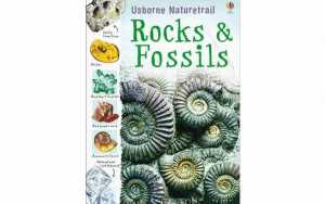 35 Exciting Books for Curious Kids to Learn about Nature