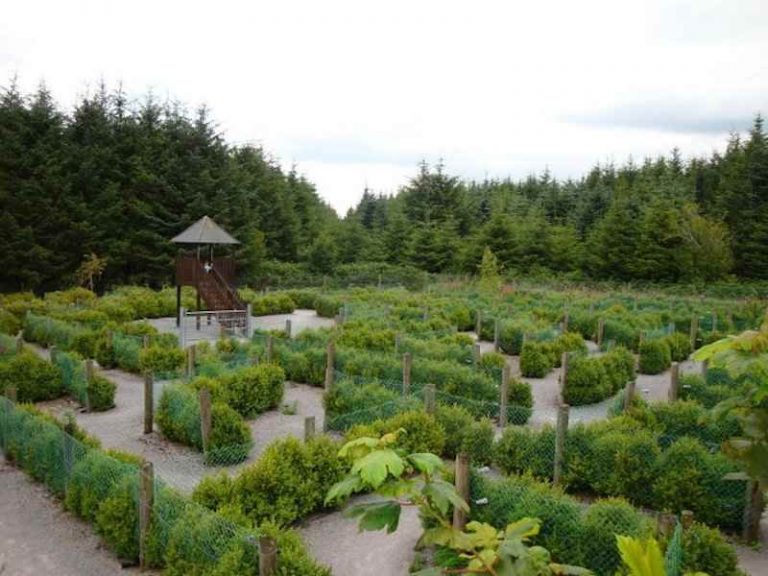 Amazing Mazes in Ireland to Puzzle Your Way in and Out of!