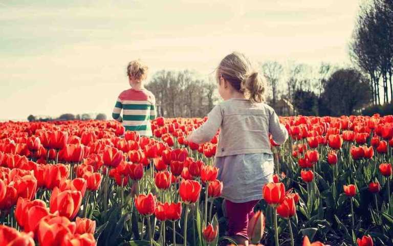 Why You Should Bring Your Kids Outdoors to Enjoy Spring