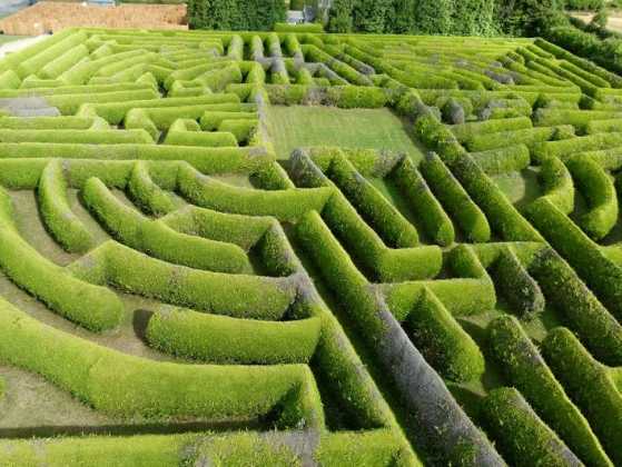 Top Ten Things to Do with Kids in Kildare