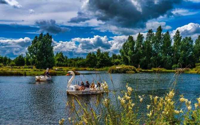 Top 10 Things To Do With Kids In Meath