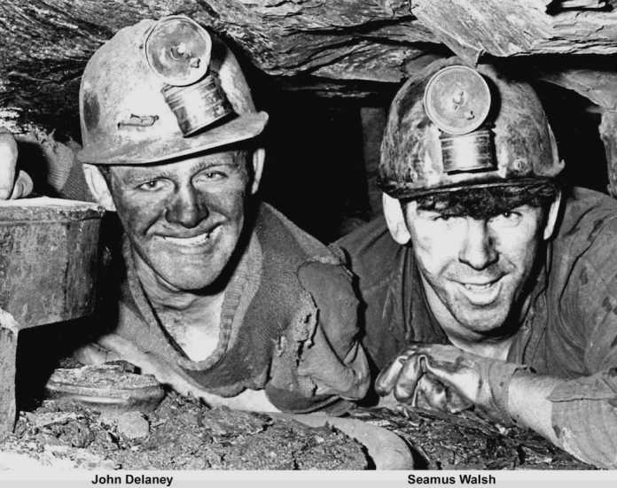 10 Surprising and Thrilling Activities at Castlecomer Discovery Park