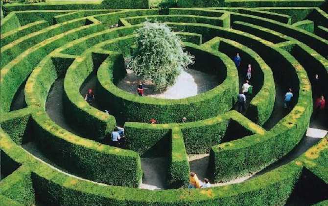 Have a Real Adventure! 15 of the Best Mazes in the UK