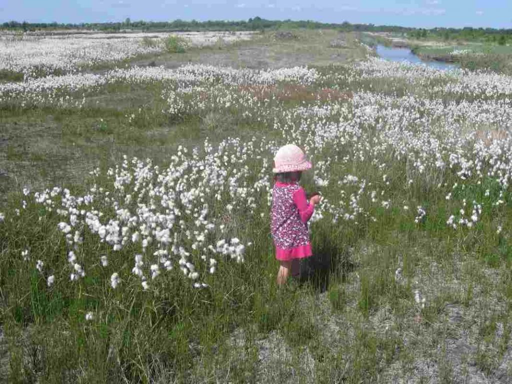 100 Fun and FREE Things to Do in Ireland with Kids