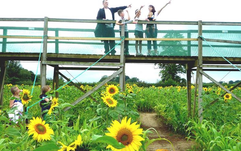 Have a Real Adventure! 15 of the Best Mazes in the UK