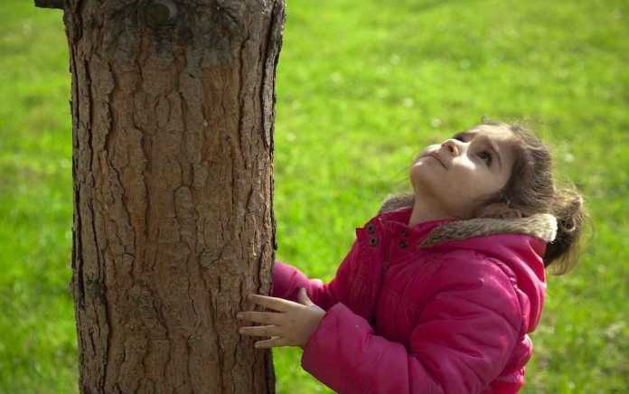 Kids Nature Activities: Measure a Tree