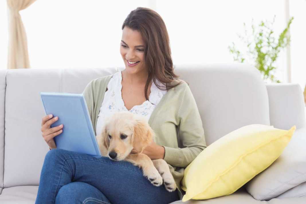 7 Top Tips For Pet Holiday Care
