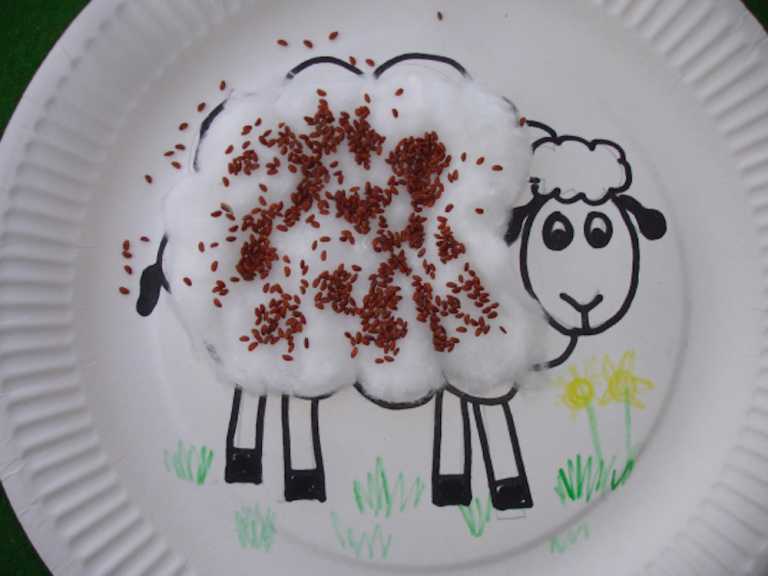 7 Fun Ways to Grow Cress that Kids Will Love