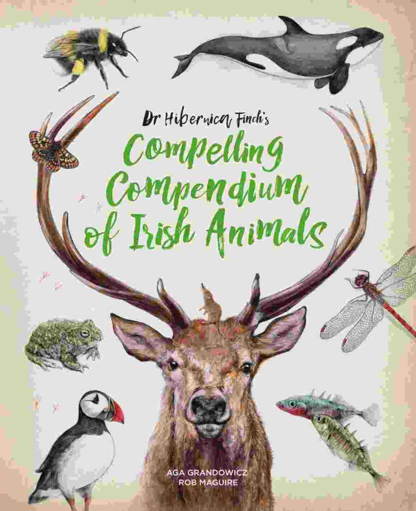20+ Unique and Exciting Irish Gifts for Kids