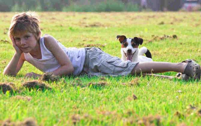 7 Expert Tips for Puppy Training with Children