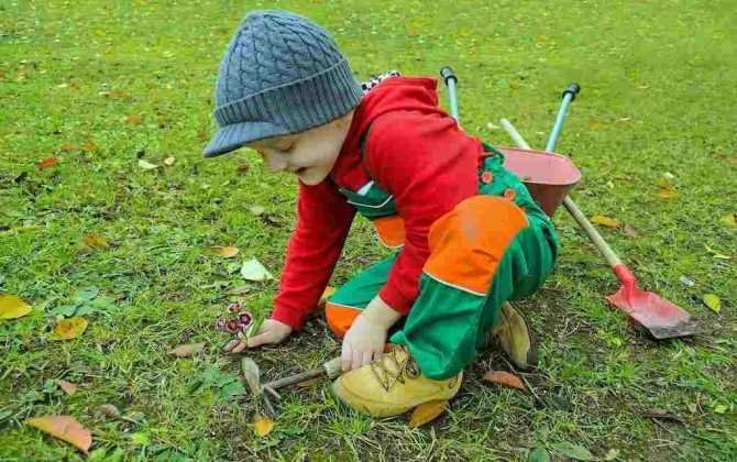 10 Great Garden Chores for Kids They Are Sure to Enjoy