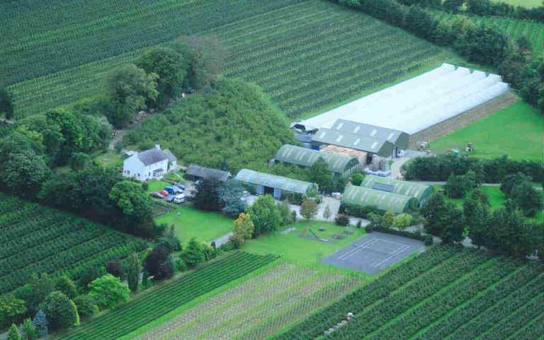 20 of the Best Pick Your Own Farms in Ireland and the UK