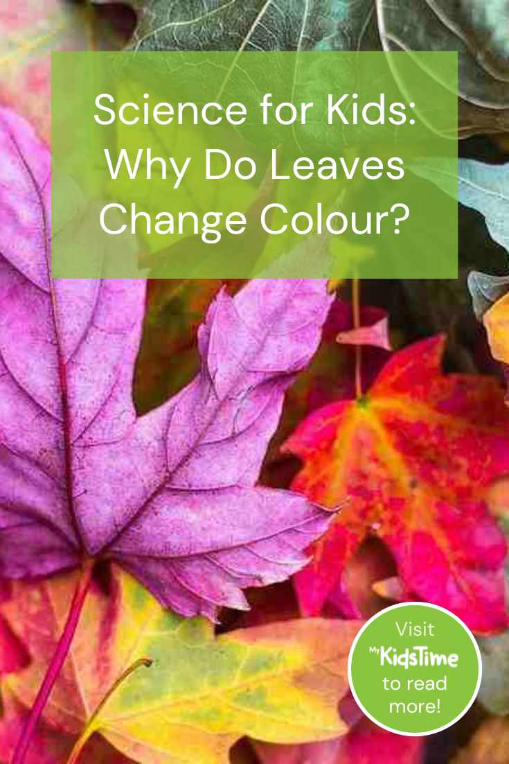 Science for Kids: Why Do Autumn Leaves Change Colour?