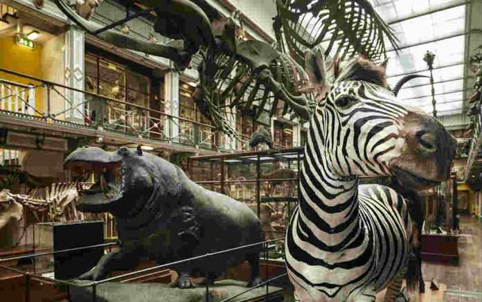 40 Fun and FREE Things to Do in Dublin with Kids