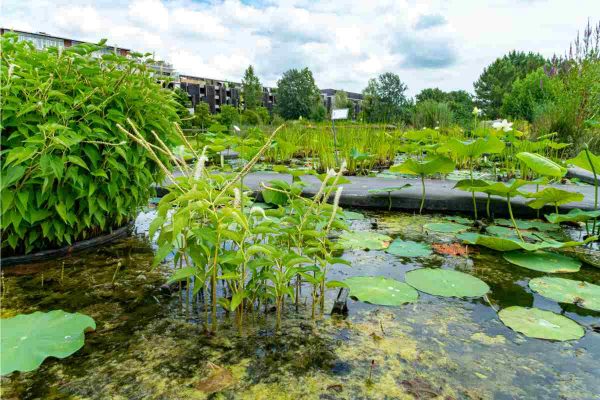10 Wonderful Things to Do in Bordeaux with Kids