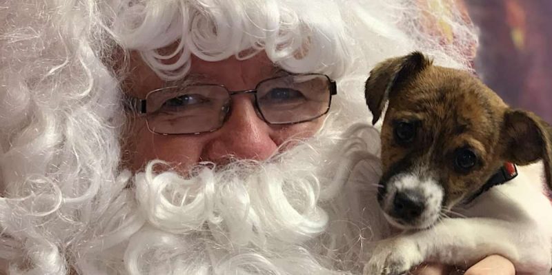 50 Magical Places to Visit Santa in Ireland